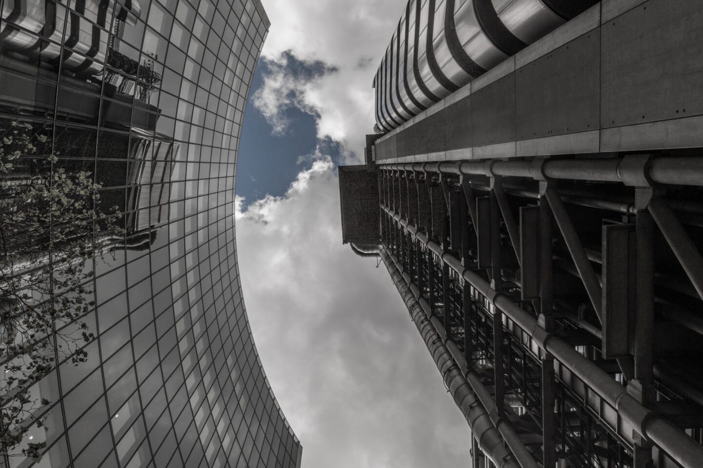 AI Transformation Across Middle and Back Office Operations - Alpha FMC